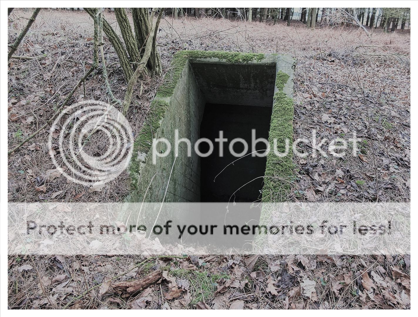 RAF Bodney - Alchetron, The Free Social Encyclopedia